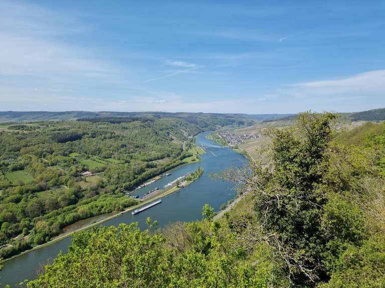 Die 10 schönsten Wanderungen rund um Starkenburg | Komoot