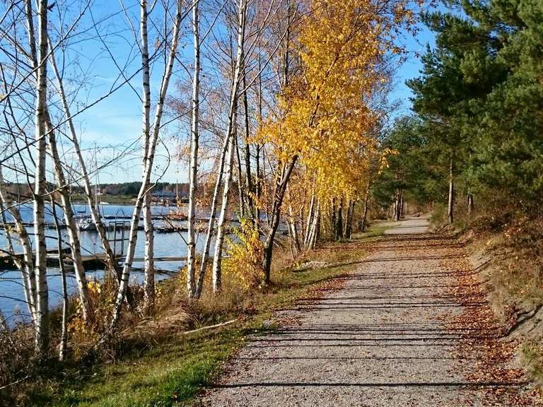 Die 10 schönsten Wanderungen rund um Steinberg am See | Komoot