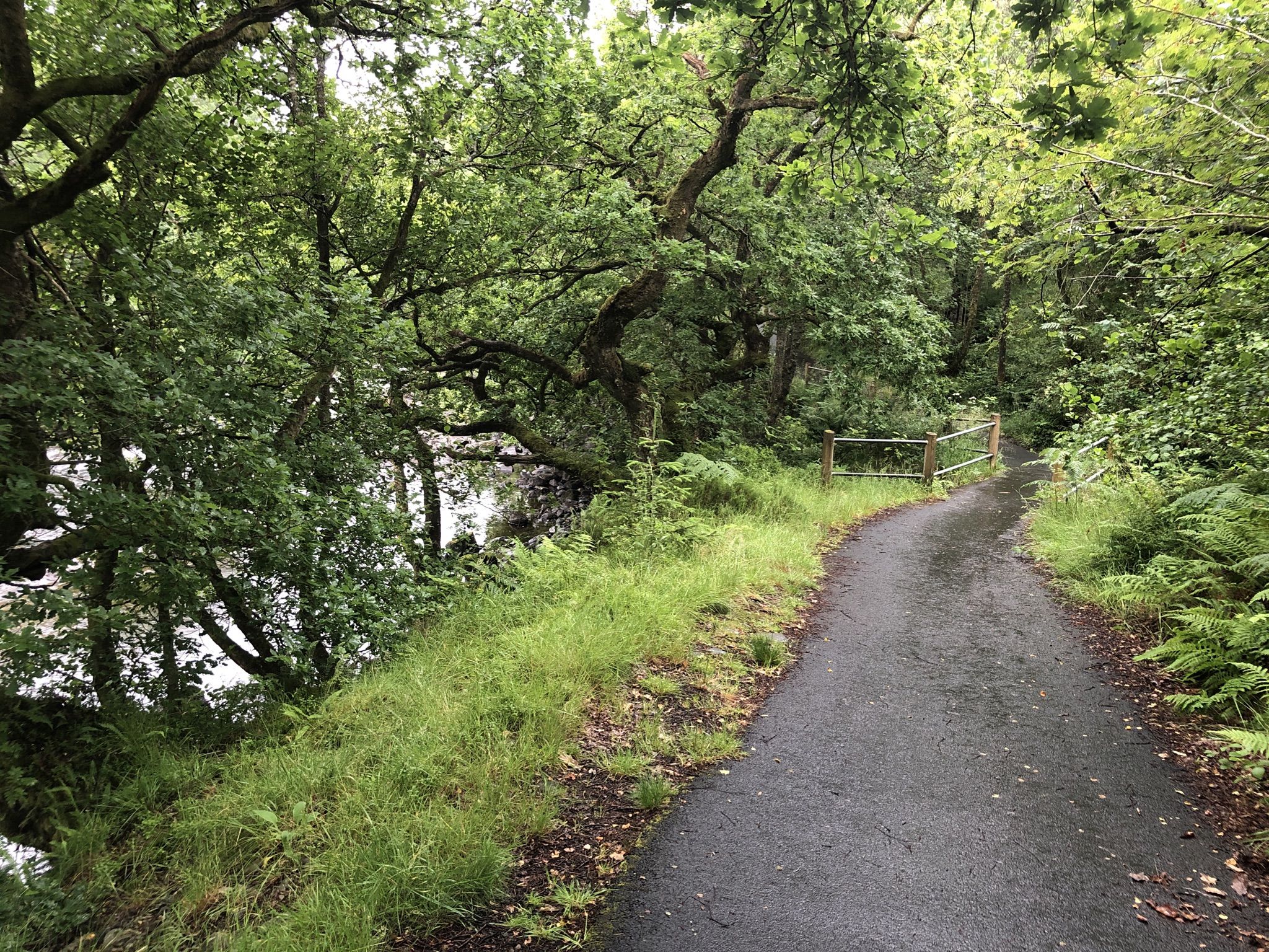 Top 10 Bike Rides and Cycling Routes in Stirling | Komoot