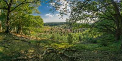 Top 10 Most Beautiful Hikes in Germany | Komoot