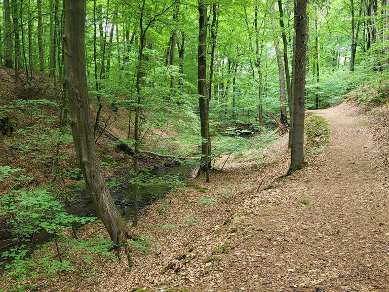 Die 10 schönsten Wanderungen rund um Storbeck-Frankendorf | Komoot