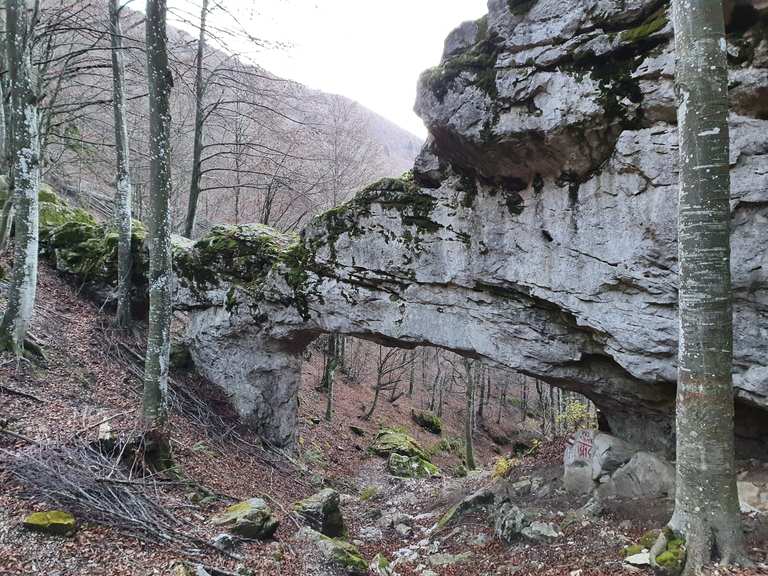 Le 10 escursioni e trekking migliori nei dintorni di Miane | komoot