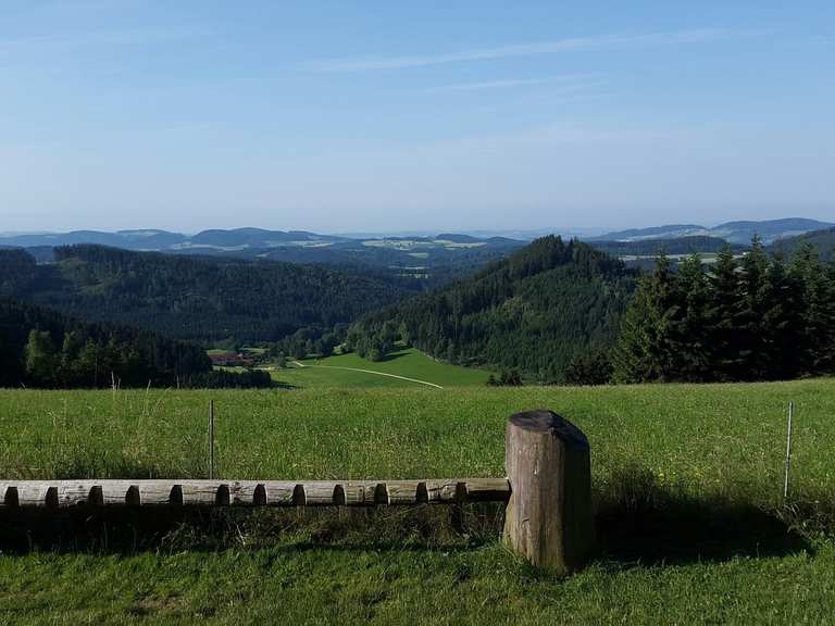 Die 10 schönsten Wanderungen rund um Gutau | Komoot