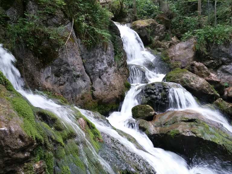 Die schönsten Wanderungen rund um Gutenstein | Komoot