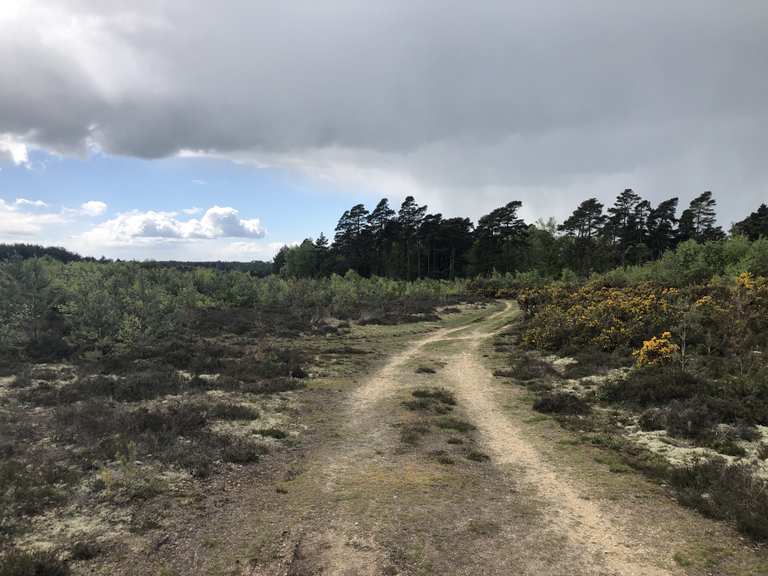 Top 10 Bike Rides and Cycling Routes in Surrey | Komoot