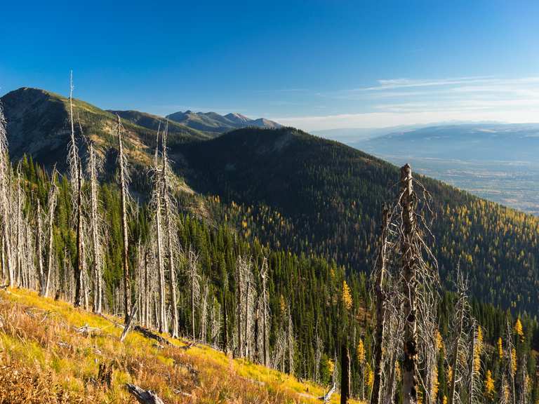 Top 10 Hikes and Walks in the Swan Range | Komoot