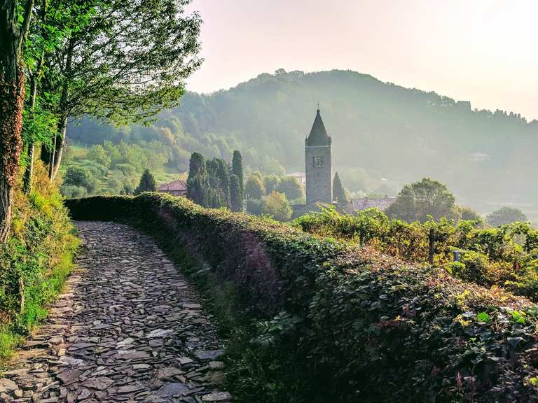 Le 5 escursioni e trekking migliori nei dintorni di Palazzago | komoot