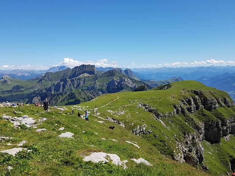 Top 10 Hikes and Walks in Toggenburg | Komoot