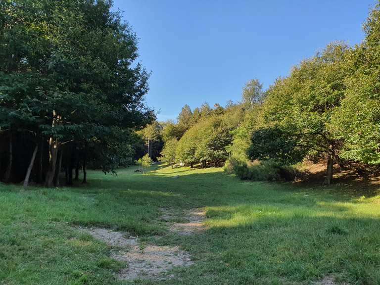 Die 5 schönsten Wanderungen rund um Azzio | Komoot