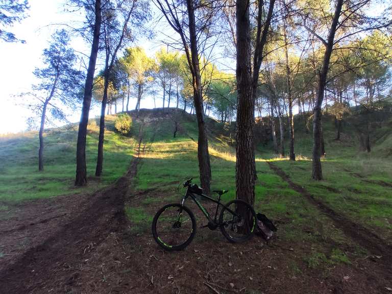 Las 10 rutas en MTB más top en Toledo | Komoot