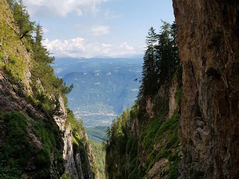 Le 10 escursioni e trekking migliori nei dintorni di Ronzone | komoot