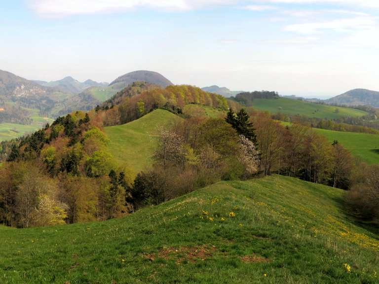 Die 10 schönsten Wanderungen rund um Helfenberg | Komoot