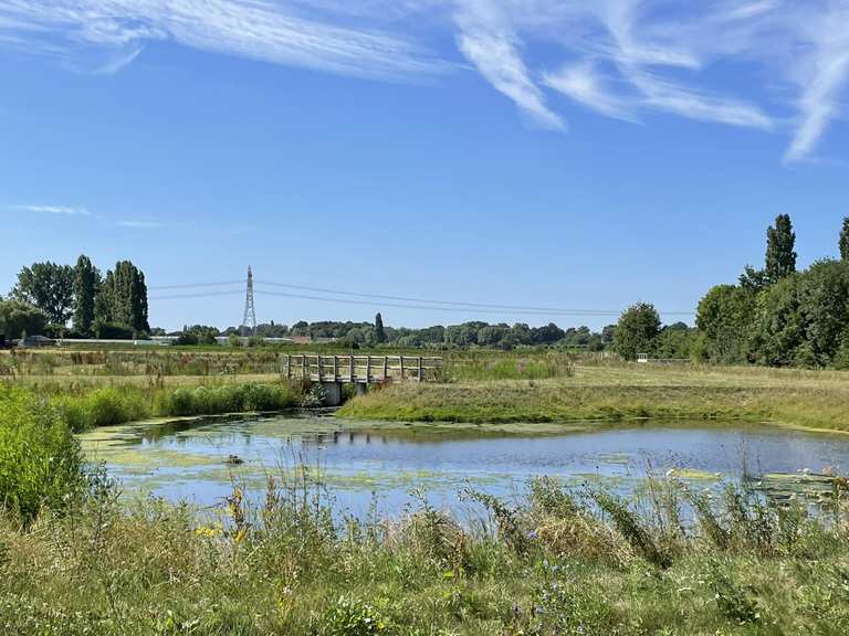 De 10 mooiste wandelroutes rond Borsbeek | Komoot