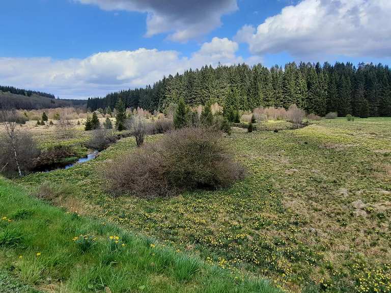 De mooiste bezienswaardigheden rond Bütgenbach - Top 20 | Komoot