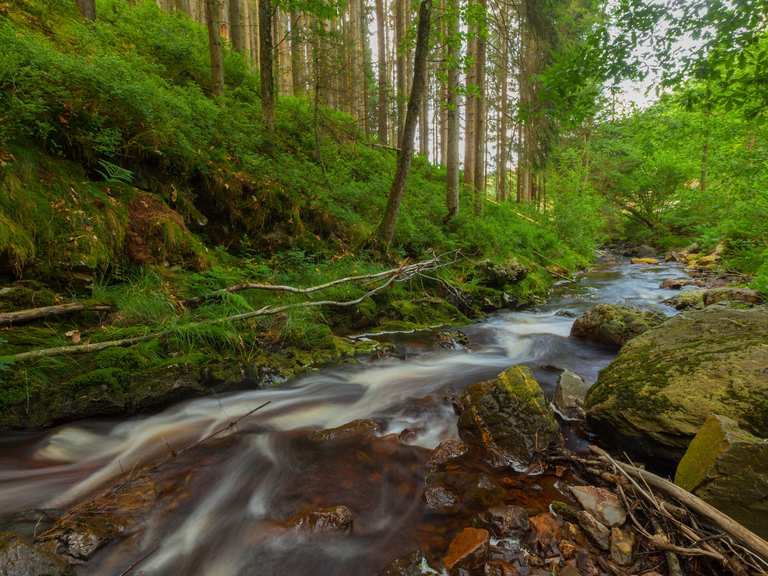 De beste wandelingen en hikes rond Stavelot | Komoot