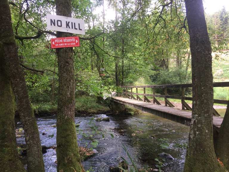 Die 5 schönsten Wanderungen rund um Paliseul | Komoot