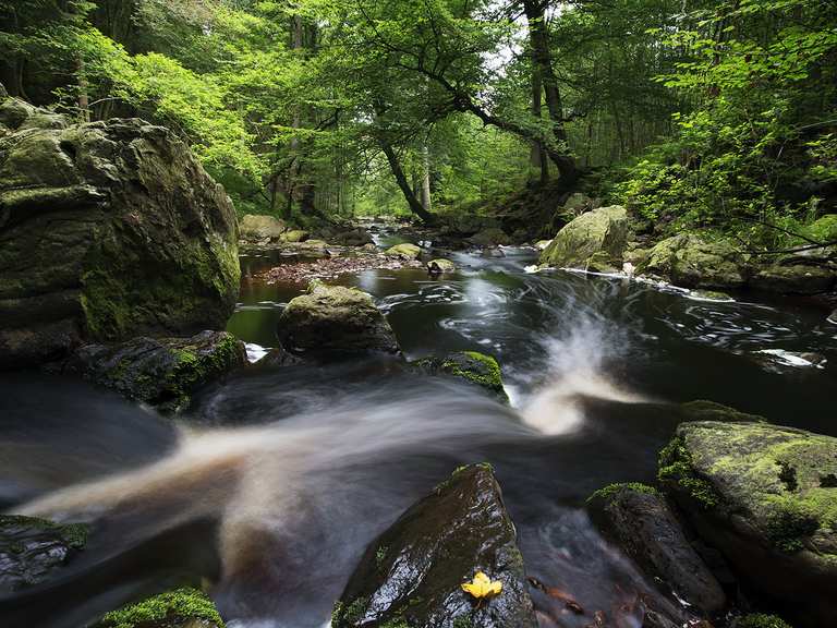 Top 10 randonnées et balades autour de Stoumont | Komoot