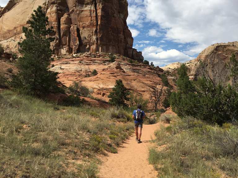 Die 10 schönsten Wanderungen in Utah | Komoot