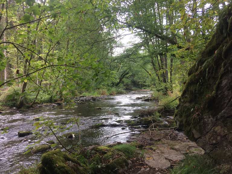 Top 10 randonnées et balades autour de Libin | Komoot