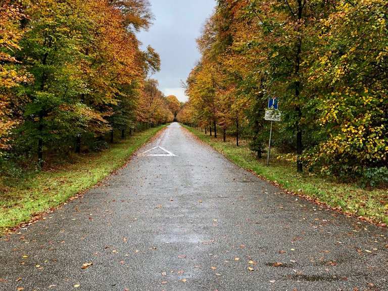 Top 10 Most Beautiful Road Biking Routes in Utrecht | Komoot