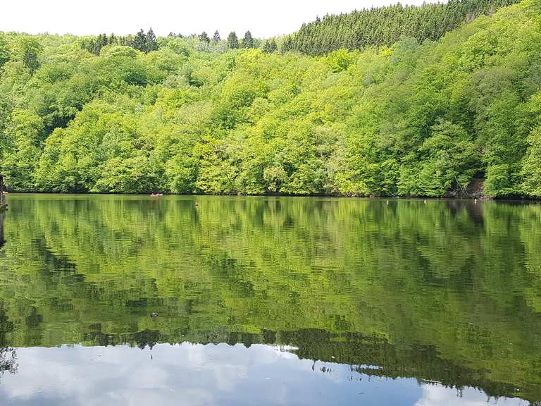 De 10 mooiste wandelroutes rond Houffalize | Komoot