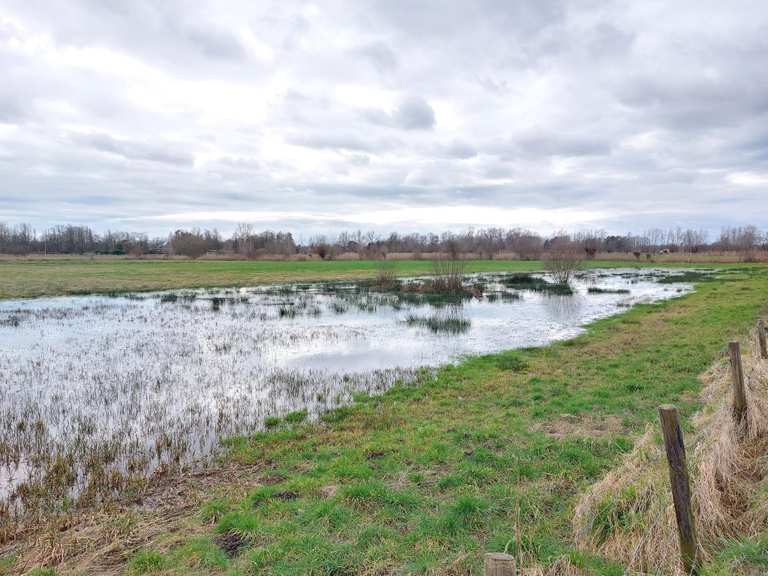 De 10 mooiste wandelroutes rond Destelbergen | Komoot