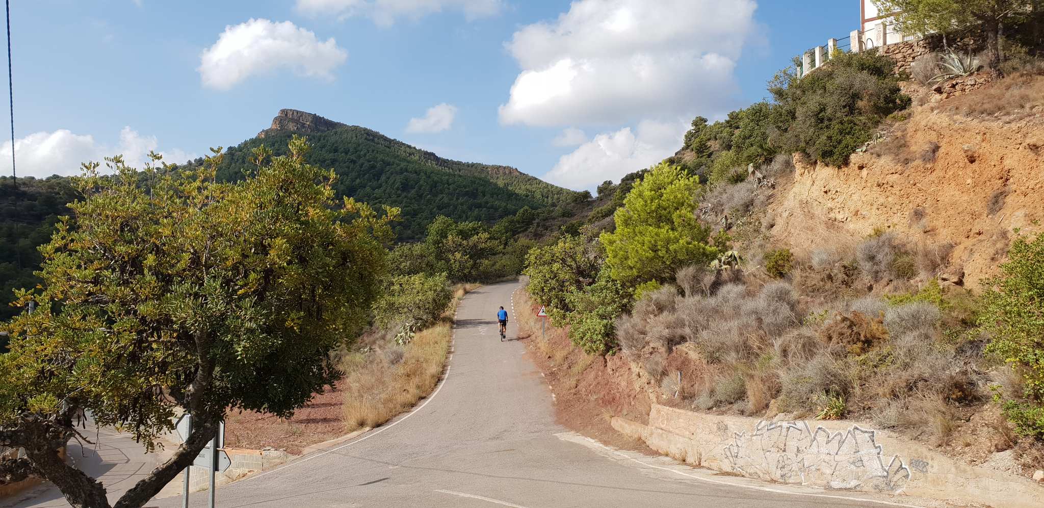 Las 20 rutas en bici de carretera más top en Valencia | Komoot
