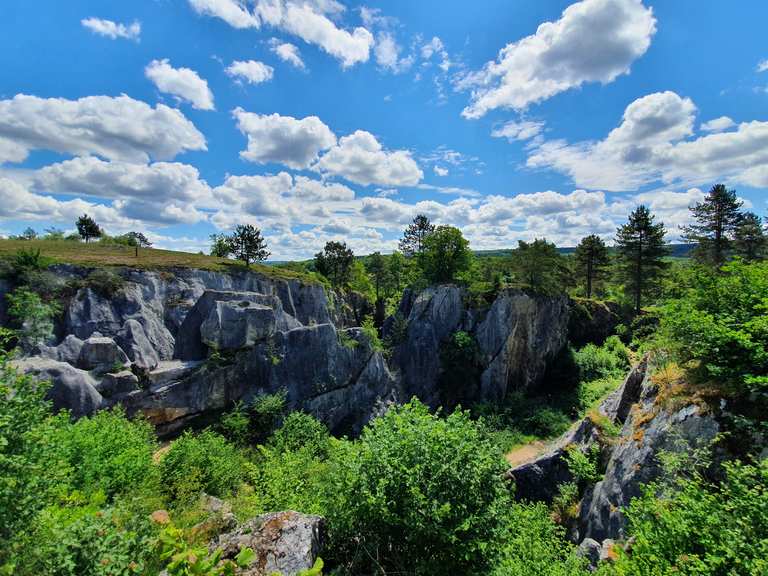 De 10 mooiste wandelroutes rond Viroinval | Komoot