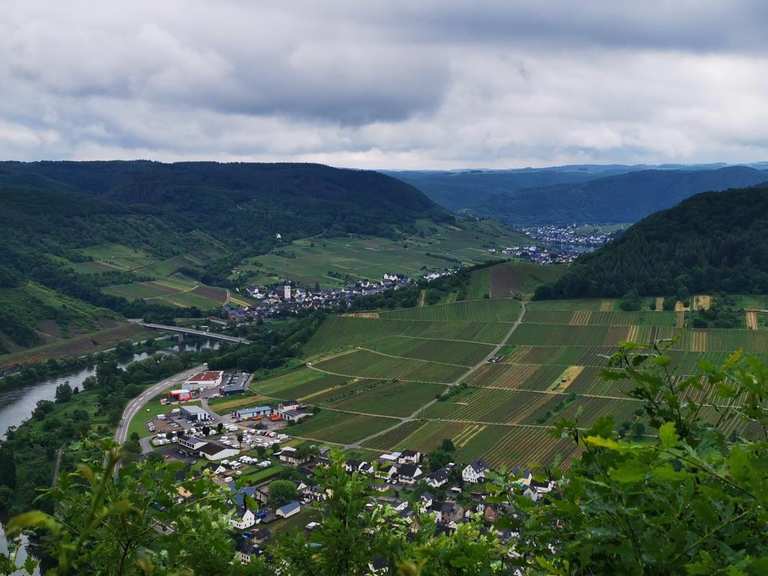 Le 10 escursioni e trekking migliori nei dintorni di Valwig | komoot