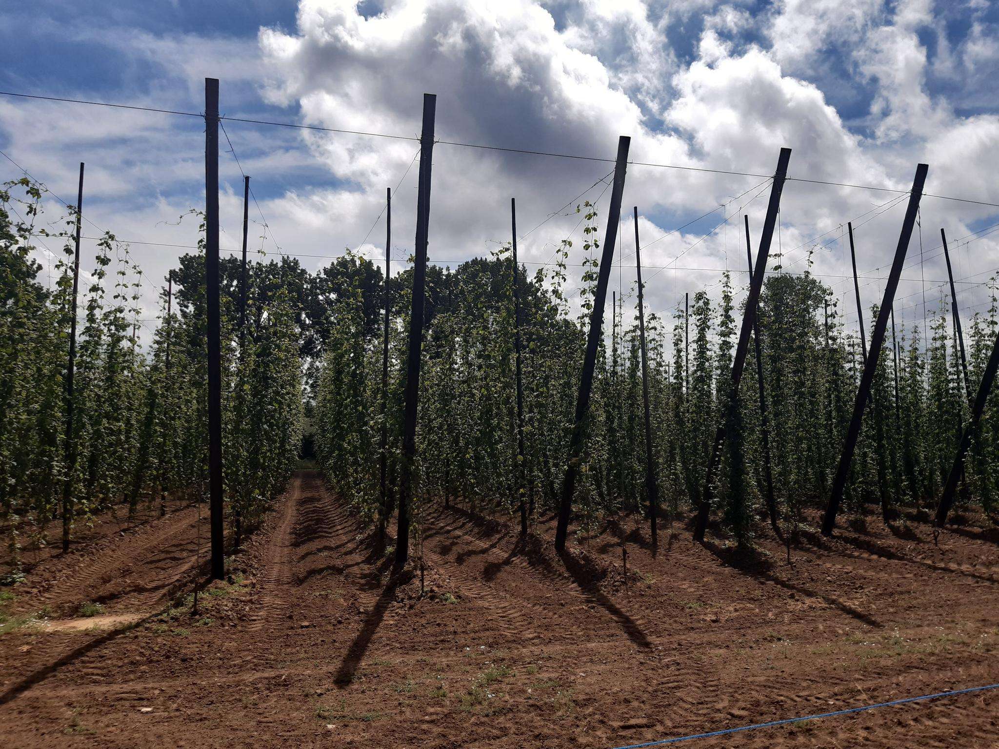 De mooiste bezienswaardigheden rond Gooik - Top 20 | Komoot