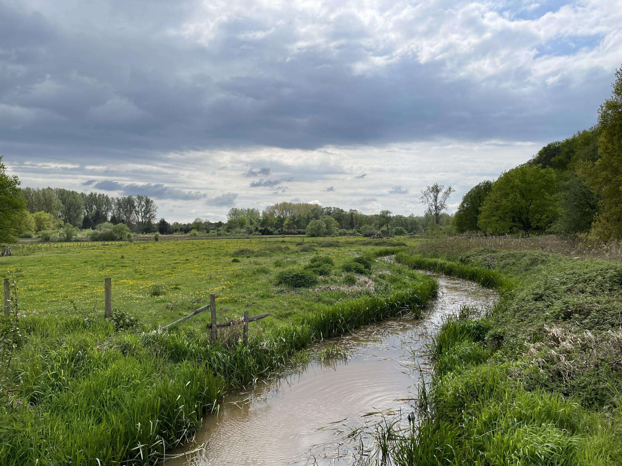De 10 mooiste wandelroutes rond Scherpenheuvel-Zichem | Komoot