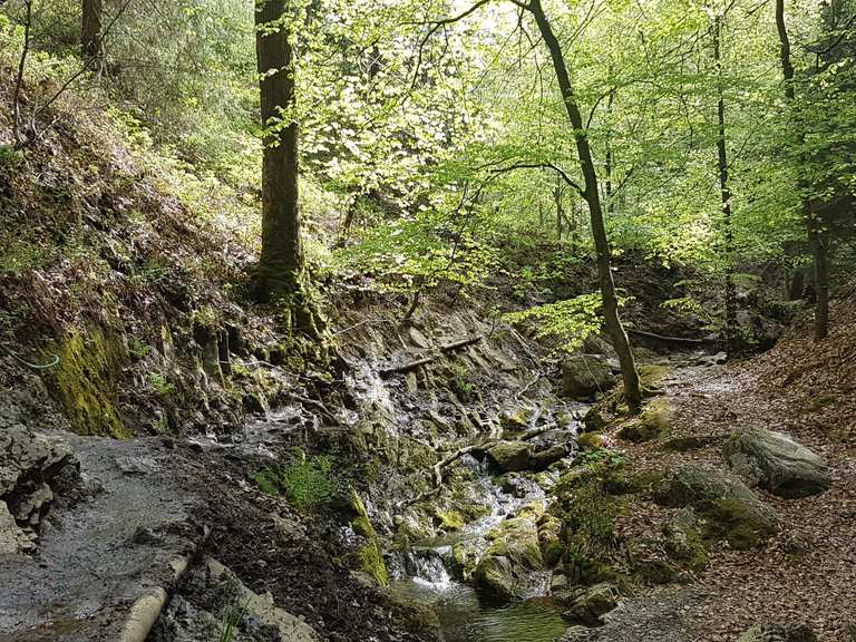 De beste wandelingen en hikes rond Aywaille | Komoot