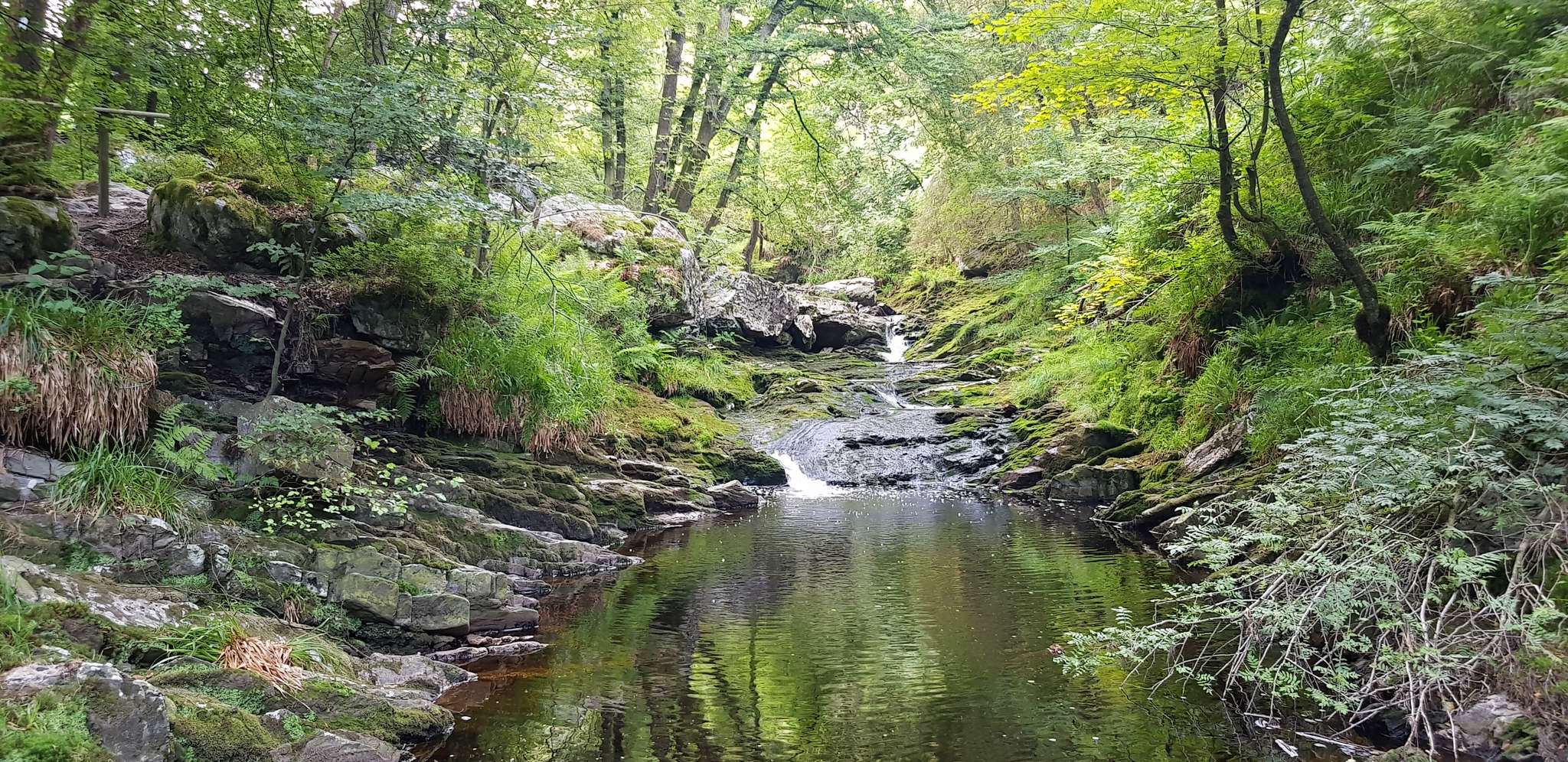 De 10 mooiste wandelroutes rond Spa | Komoot