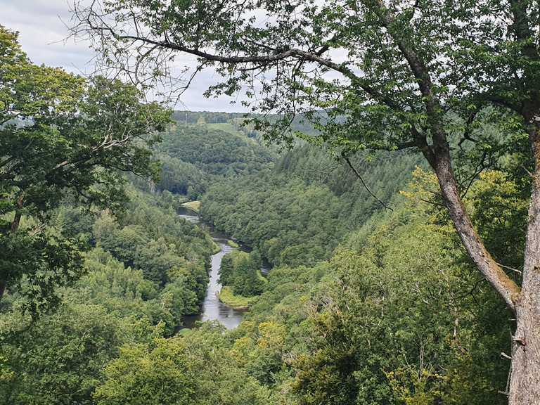 De 10 mooiste wandelroutes rond Marche-en-Famenne | Komoot