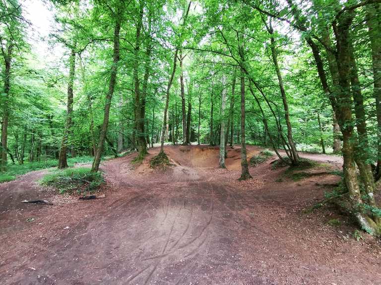 De 10 mooiste wandelroutes rond Aarlen | Komoot