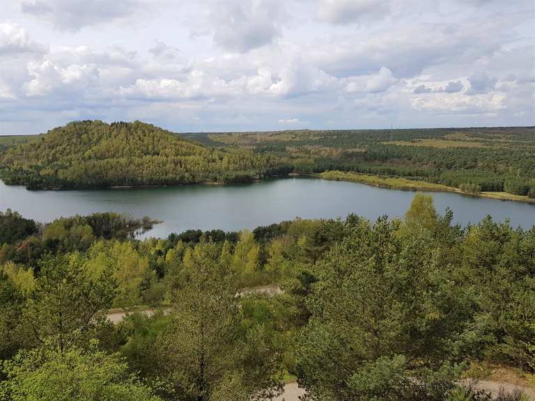 De beste wandelingen en hikes rond Maaseik | Komoot