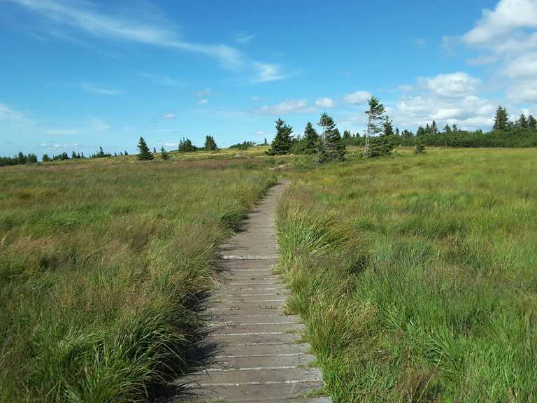 Le 10 escursioni e trekking migliori nel Dipartimento di Vosgi | komoot