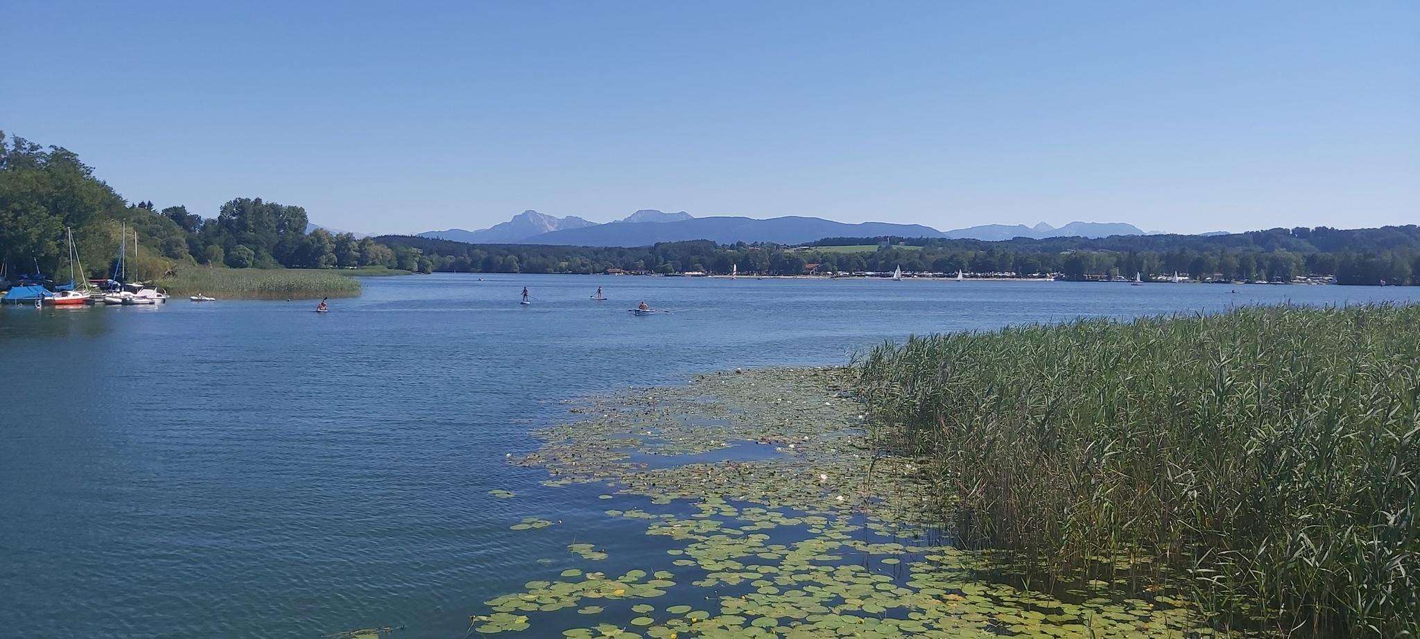 Die 10 schönsten Wanderungen rund um Waginger See | Komoot