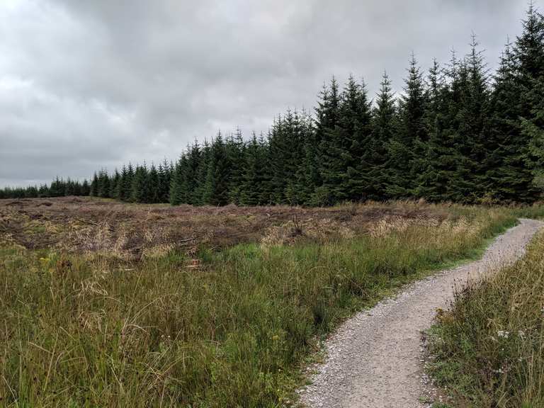 Top 10 Bike Rides and Cycling Routes around Ribble Valley | Komoot