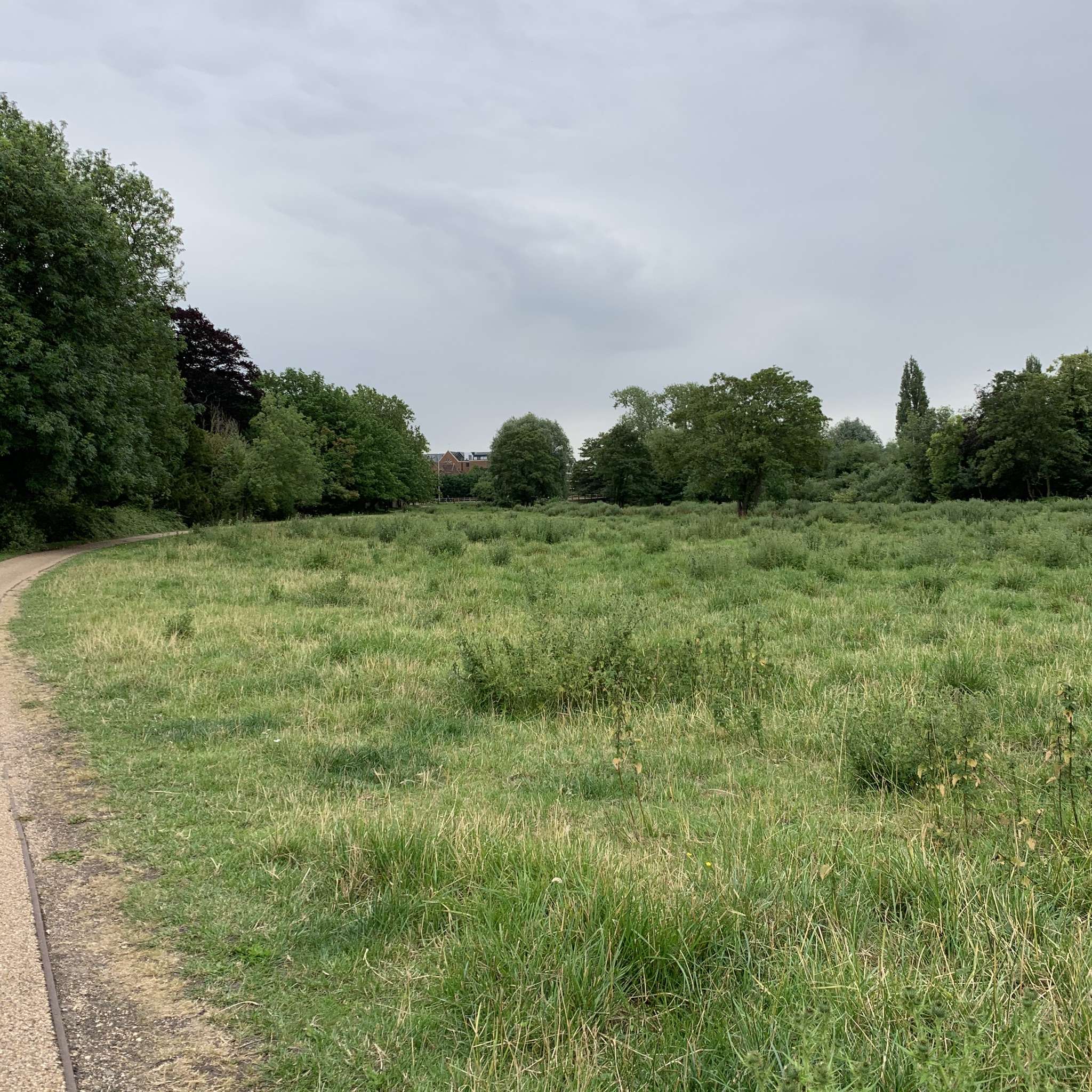 Top 10 Hikes and Walks around Cambridge | Komoot