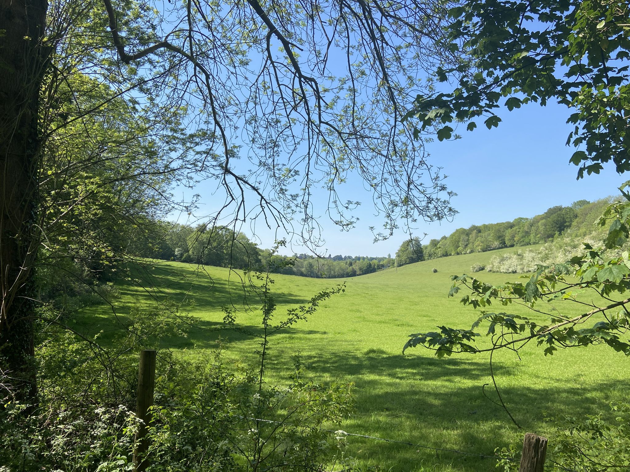 Top 20 Hikes and Walks around the London Borough Of Sutton | Komoot