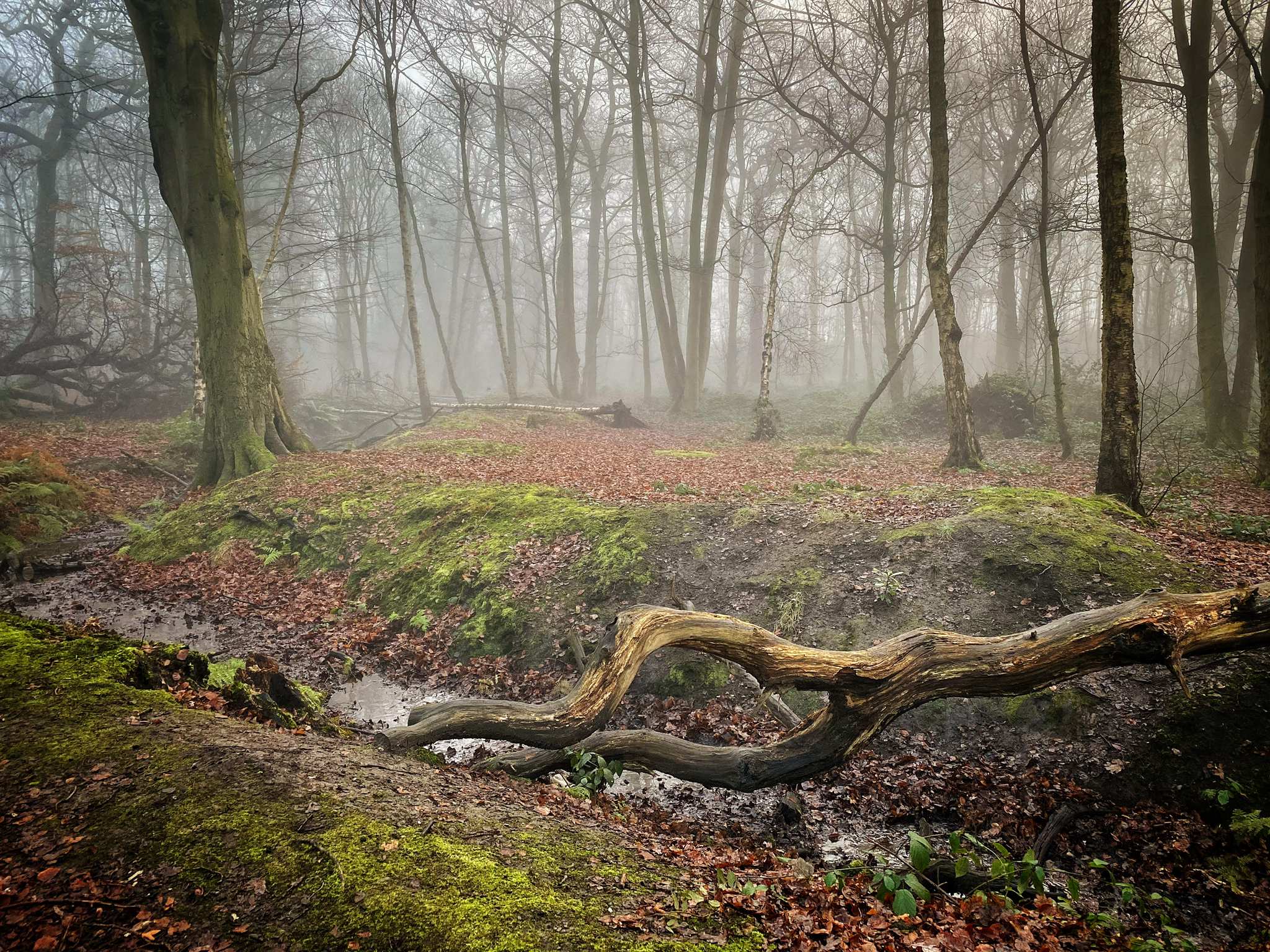 Top 20 Hikes and Walks around Liverpool | Komoot