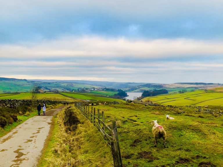 Top 10 Hikes and Walks around Pendle | Komoot