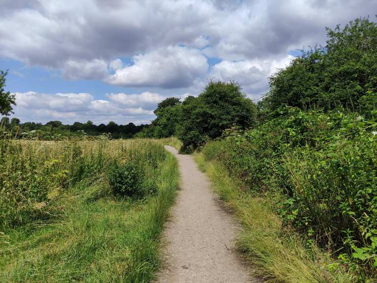 Top 10 Running Trails around Epsom And Ewell | Komoot