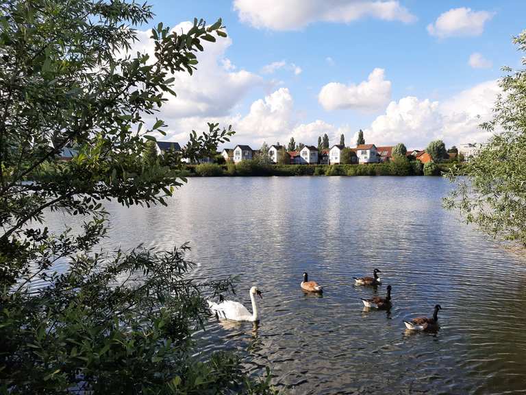 Top 10 Running Trails around Reigate And Banstead | Komoot