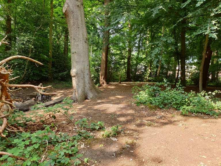 Top 10 Hikes and Walks around Manchester | Komoot