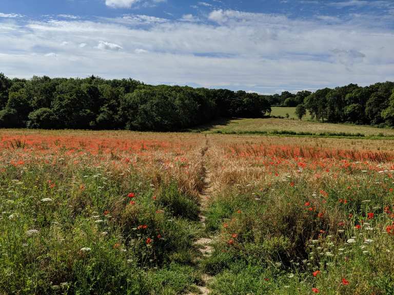 Attractions and Places To See around Mole Valley - Top 20 | Komoot
