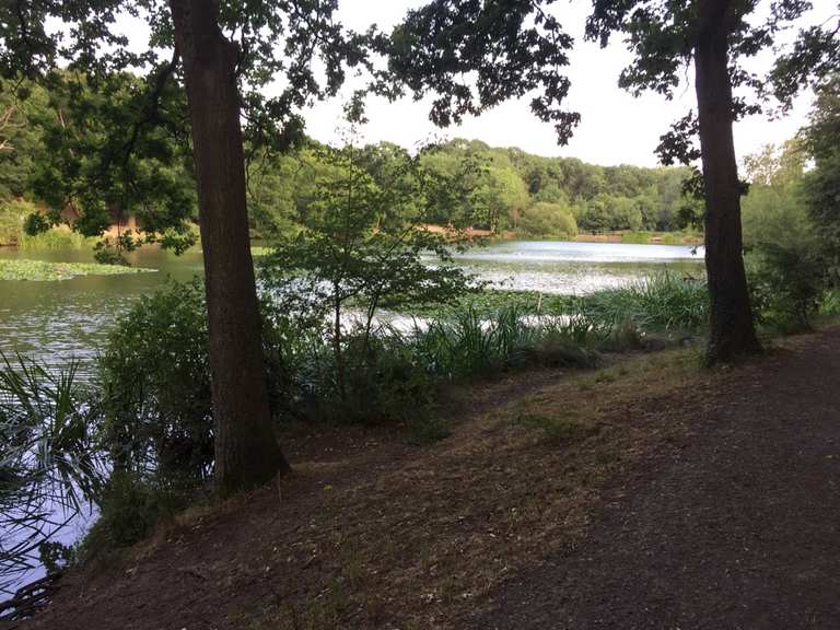 Top 10 Hikes and Walks around Basildon | Komoot