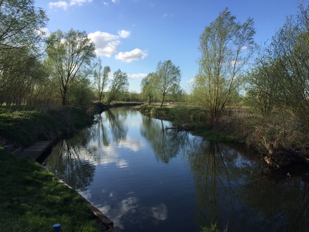 Top 10 Hikes and Walks around Chelmsford | Komoot