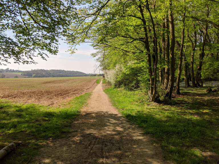 Top 10 Bike Rides and Cycling Routes around Stevenage | Komoot